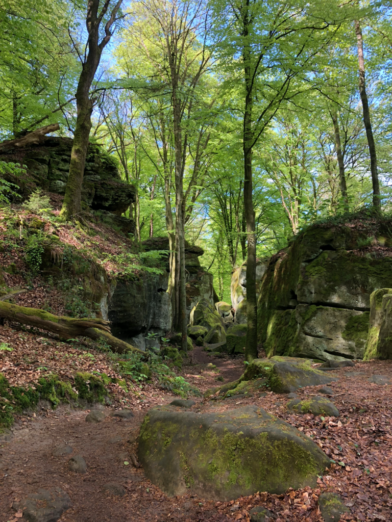From Echternach to Consdorf on the Müllerthal Trail | World Capital ...